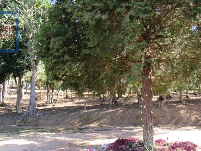 São Roque ótima chácara com 4.500 m2 frende para o asfalto
