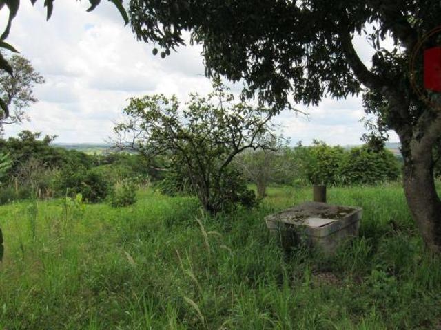 São Roque Sitio com 320.000 m para investidores ótimo para forma sitio, haras ou loteamento