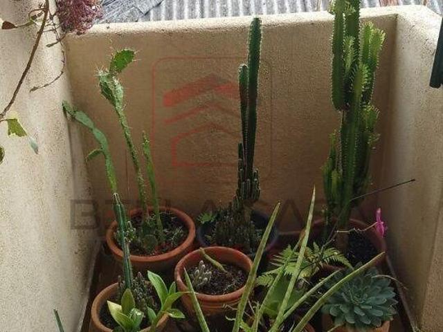 São tres casas no terreno. Ideal para investidor ou construtor