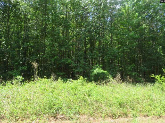 S/ Old Eastover Road Lot 3