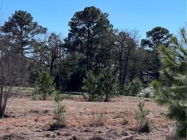 S Old Potato Rd Lot 3, Paige, TX 78659