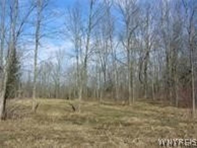 S Ayers Rd, Akron, Plot For Sale