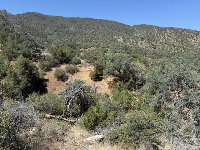 S Alpine St, Bodfish, CA 93205