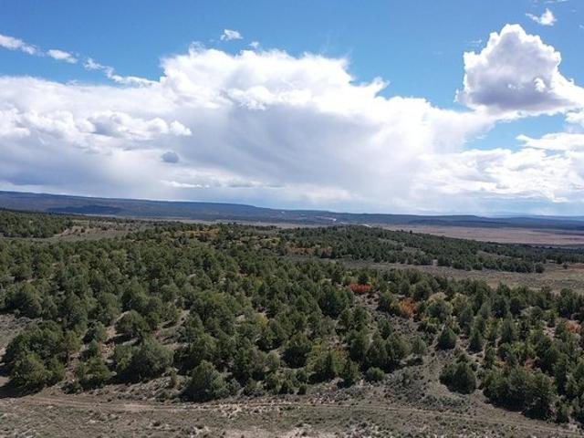 S and W Rnch, Tierra Amarilla, NM 87575