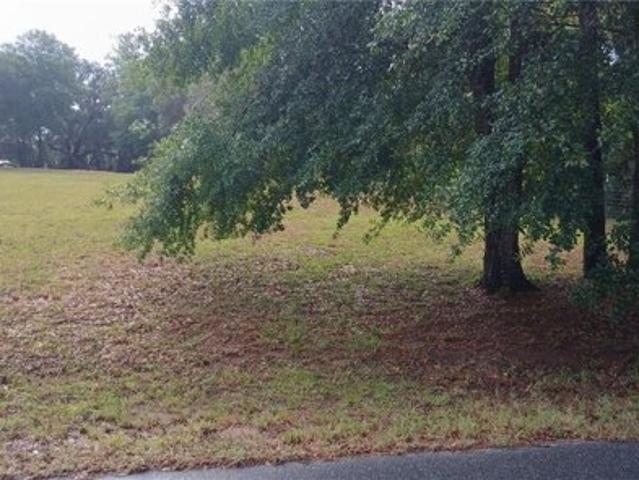 S Appaloosa Ave, Floral City, Plot For Sale