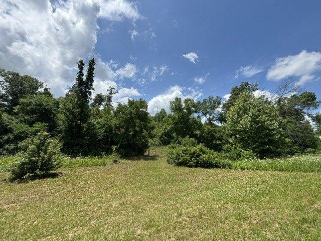 S Ar 21, Berryville, AR 72616