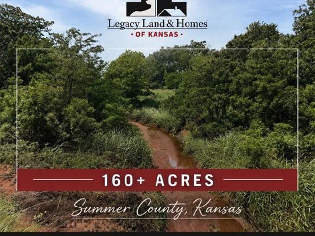 S Argonia Rd and W 100th St, Caldwell, KS 67022