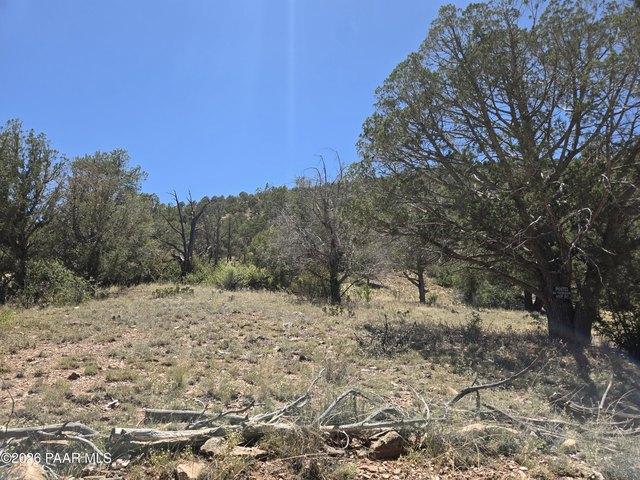 S Arizona Rd Lot 124, Ash Fork, AZ 86320