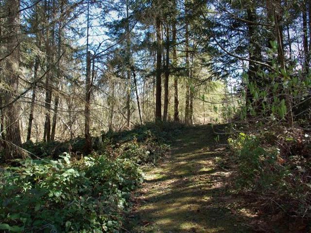 S Bagley Creek Rd, Port Angeles, WA 98362