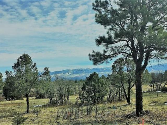S Badger Trl, Ridgway, CO 81432