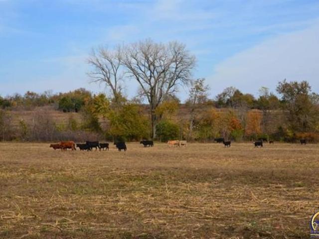 S Berryton Rd, Lyndon, KS 66451