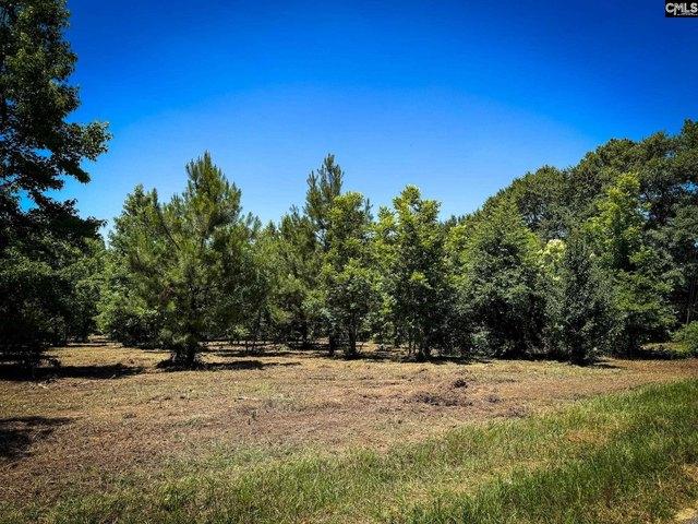 S Bethlehem Rd Lot 1, Batesburg, SC 29006