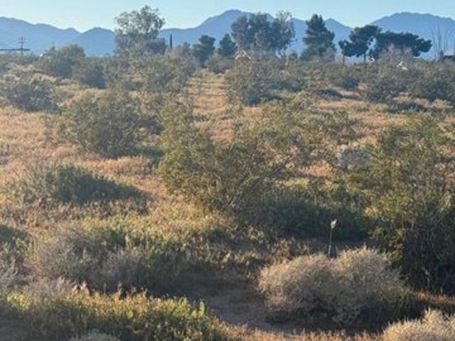 S Brady St, Ridgecrest, CA 93555