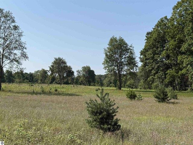 S Bright Rd Parcel A6, Maple City, MI 49664