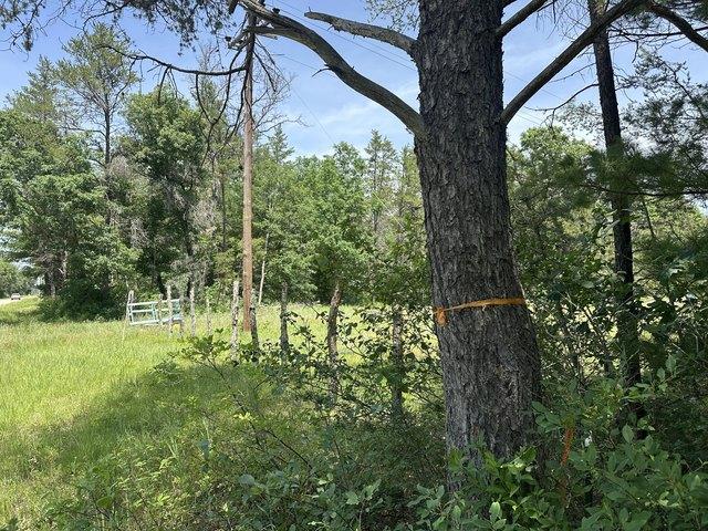 S Broadway St, Idlewild, MI 49642