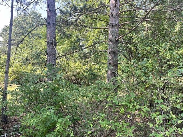 S Czech Ct Lot 16, Friendship, WI 53934