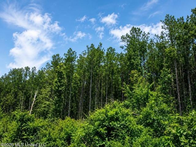 S C Rd # 114, Mize, MS 39116