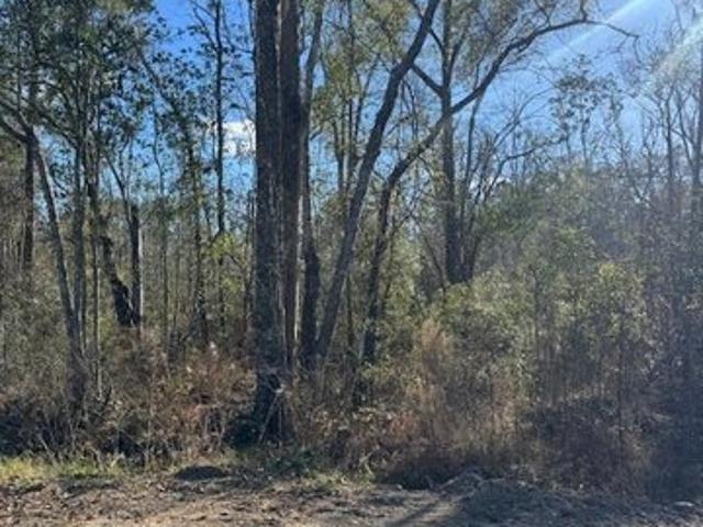 S Caulie Harris Rd Lot 3, Adel, GA 31620