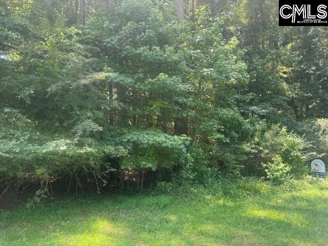 S Circle Dr, Orangeburg, SC 29118