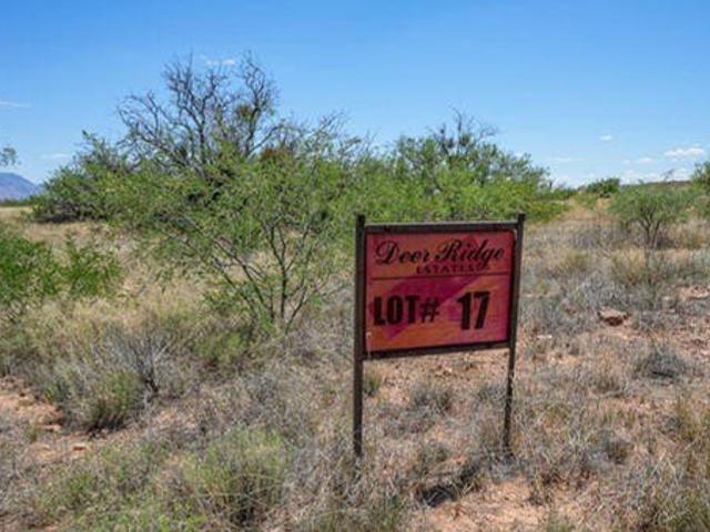 S Coatimundi Dr Unit 17, Hereford, AZ 85615