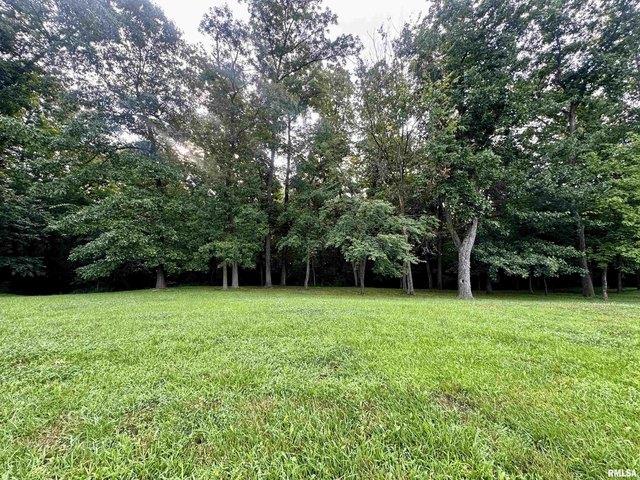 S Copperpoint Dr Lot 189, Dunlap, IL 61525