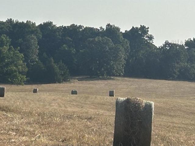 S Corinth Rds, Ash Flat, AR 72513