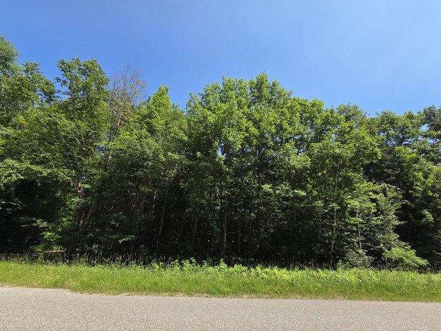 S Cottage Rd, Barbeau, MI 49710
