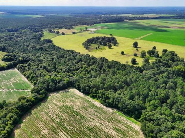 S County Line Rd, Albany, GA 31705