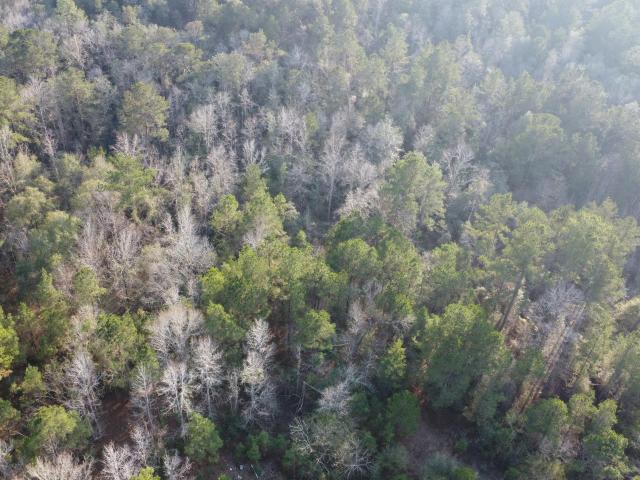 S County Line Rd, Columbia, MS 39429 | MLS #4135 | Compass