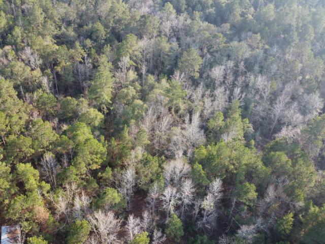 S County Line Road, Columbia, MS 39429