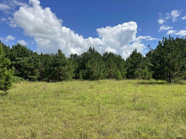S County Road 218D, Henderson, TX 75652