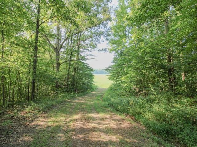 S County Road 650 E, Butlerville, IN 47223