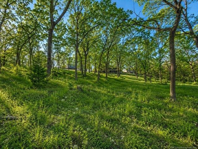 S Coves Dr, Afton, OK 74331