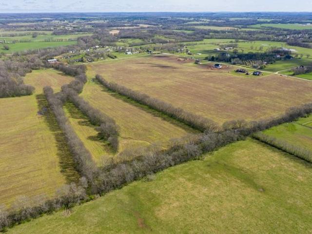 S Cross Bridges Rd, Mount Pleasant, TN 38474