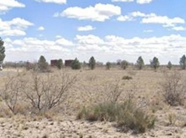 S Eubank, Tatum, NM 88267
