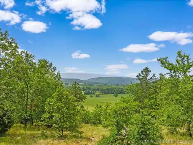 s E 1130 AVENUE, TALIHINA, OK 74571 Vacant Land For Sale MLS#.