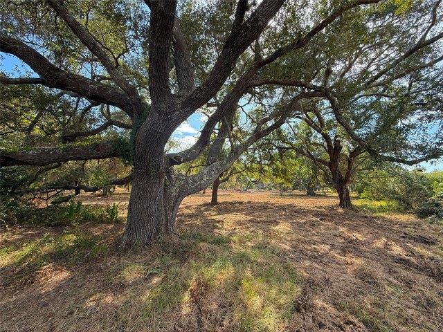 S F Austin Lot 1, Freeport, TX 77541