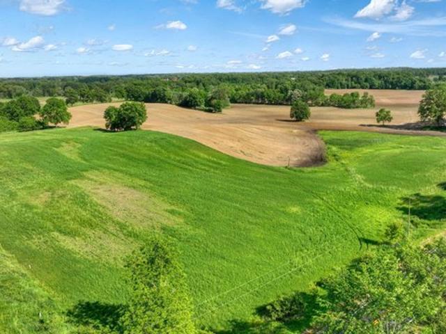 S Fletcher Rd, Chelsea, MI 48118
