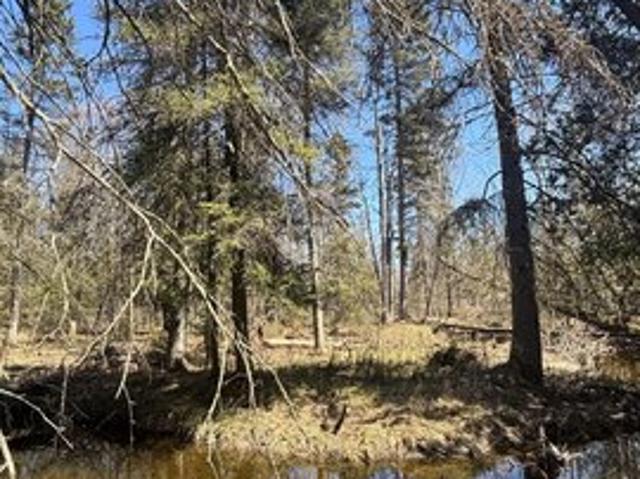 S Flower Bay Rd, Cedarville, MI 49719