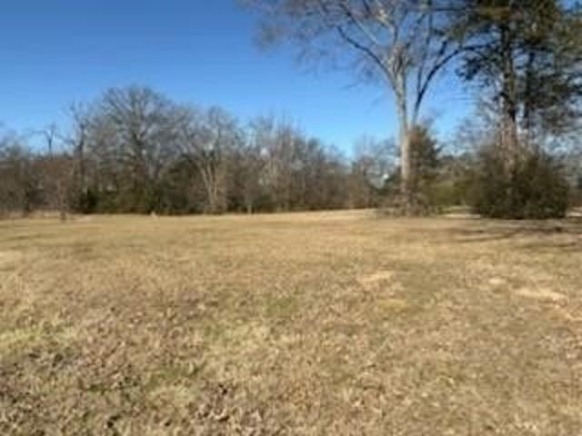 S FM 314 Hwy, Van, TX 75790