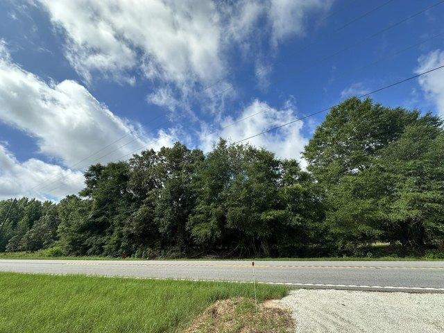 S GA Highway 23 Lot E, Waynesboro, GA 30830