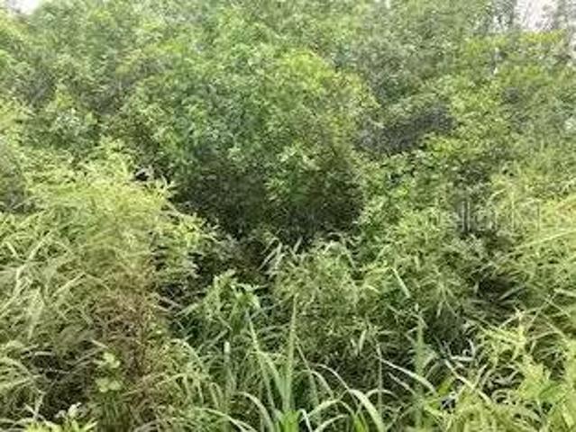 S Goodman Rd, Kissimmee, FL 34747 MLS S5107371