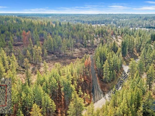 S Goss Rd, Cheney, WA 99004