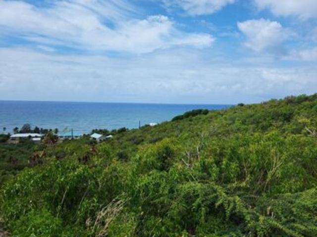 S Grapetree Eb, Saint Croix, Plot For Sale