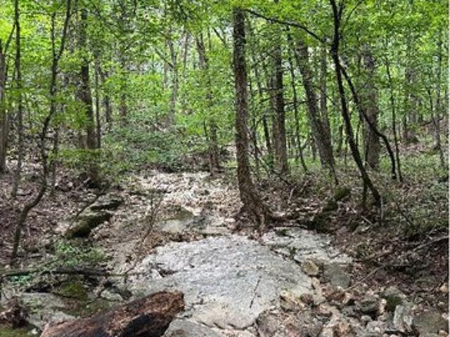 S Hagans Rd, Ashland, MO 65010