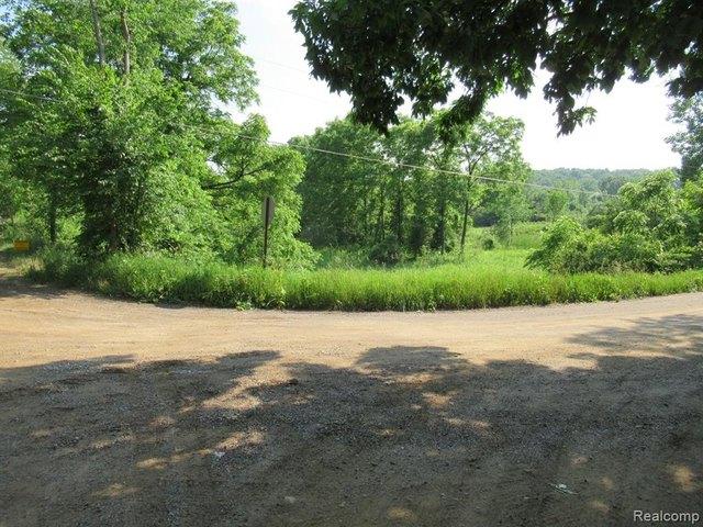 S Hadley Rd, Ortonville Vlg, MI 48348