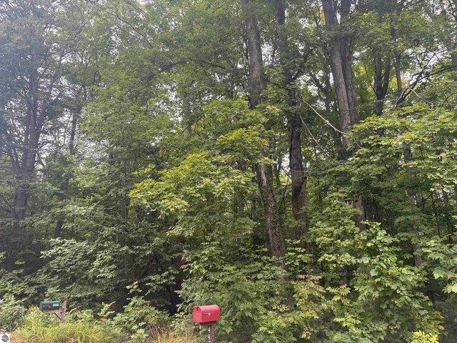S Hemlock Rd, Cedar, MI 40621
