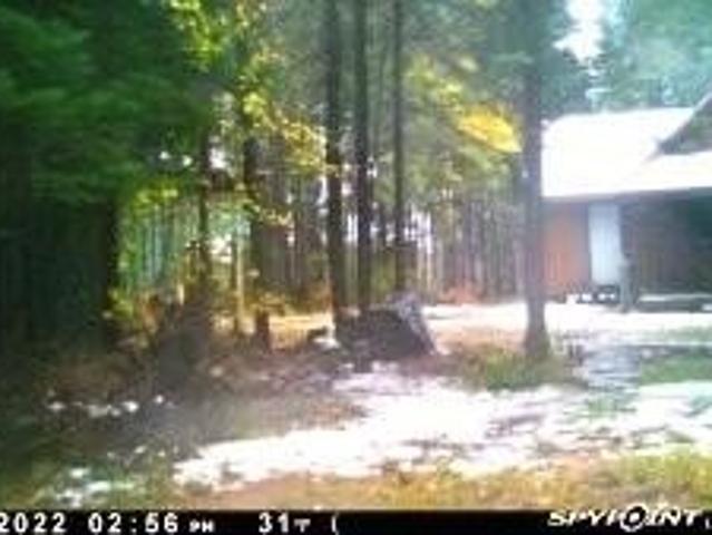 S Hendrie River Rd, Hulbert, Plot For Sale