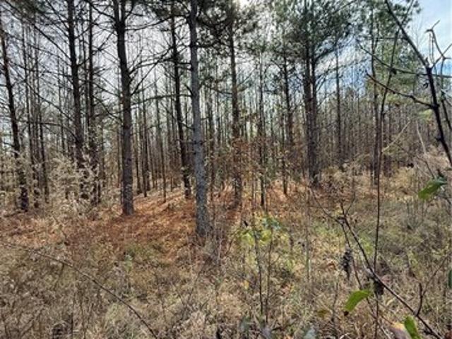 S Highway 11, Star City, AR 71667
