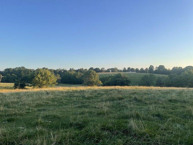 S Highway 160, Highlandville, MO 65669